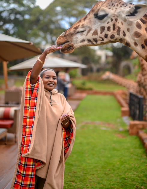 Collections – GiraffeManorShop