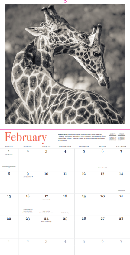 2026 GIRAFFE MANOR CALENDAR – GiraffeManorShop