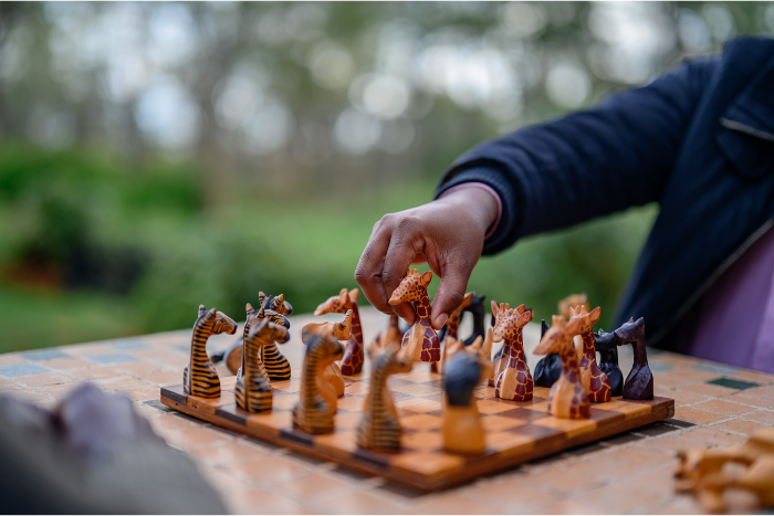 SAFARI CHESS – GiraffeManorShop