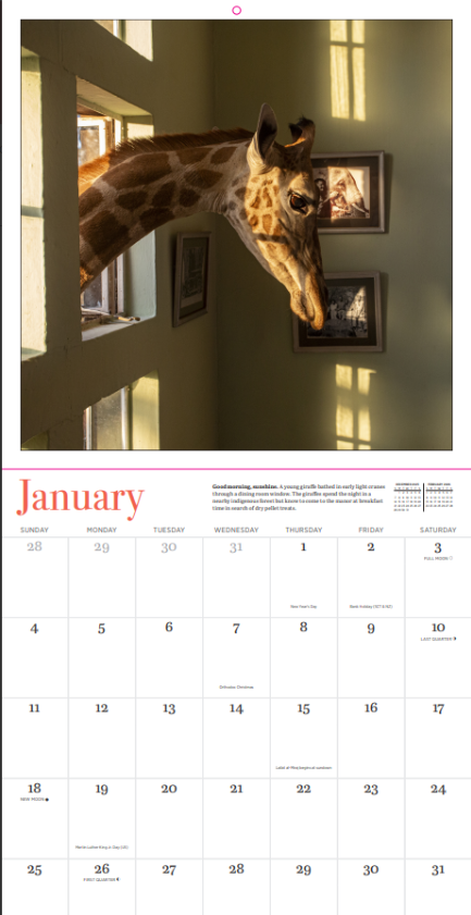 2026 GIRAFFE MANOR CALENDAR – GiraffeManorShop